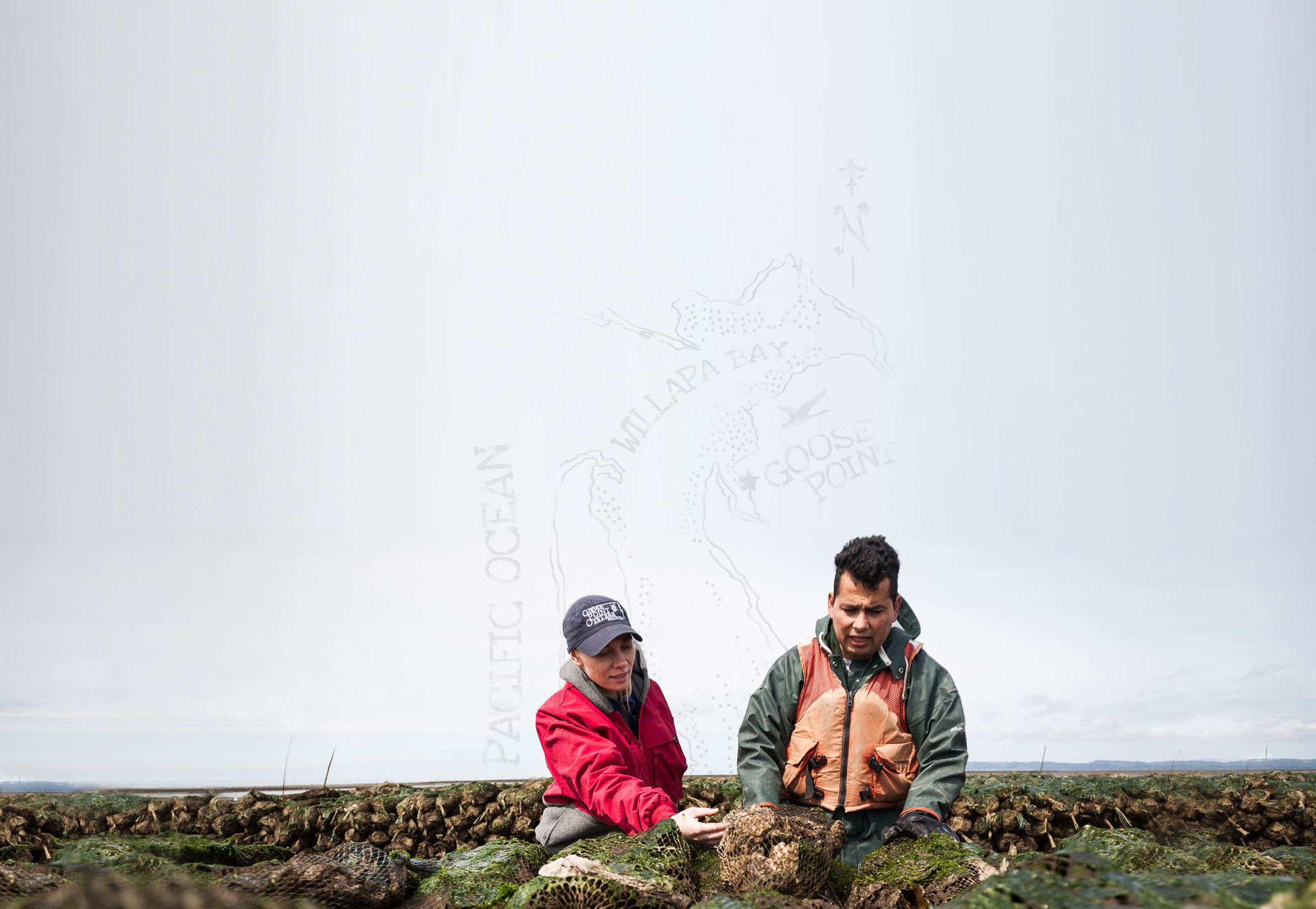 Buy Seafood & Shellfish | Goose Point Shellfish Farm & Oystery