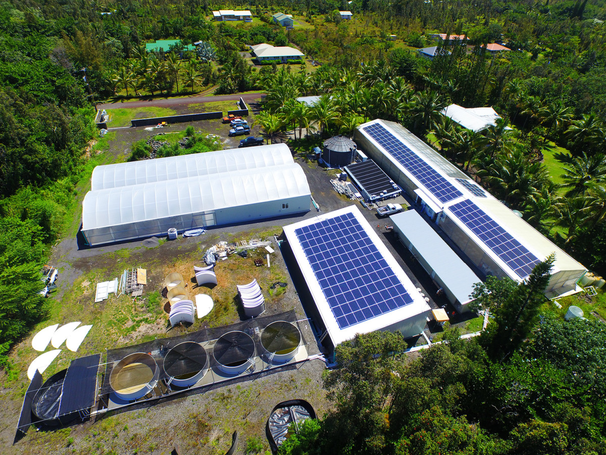 Nisbet Oyster Co. and Craft3 announce completion of groundbreaking ...